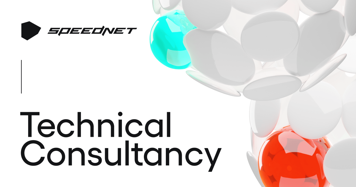 Technical Consultancy - Speednet